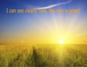 How do you spell relief? C-L-E-A-R - Sol Flower Wellness